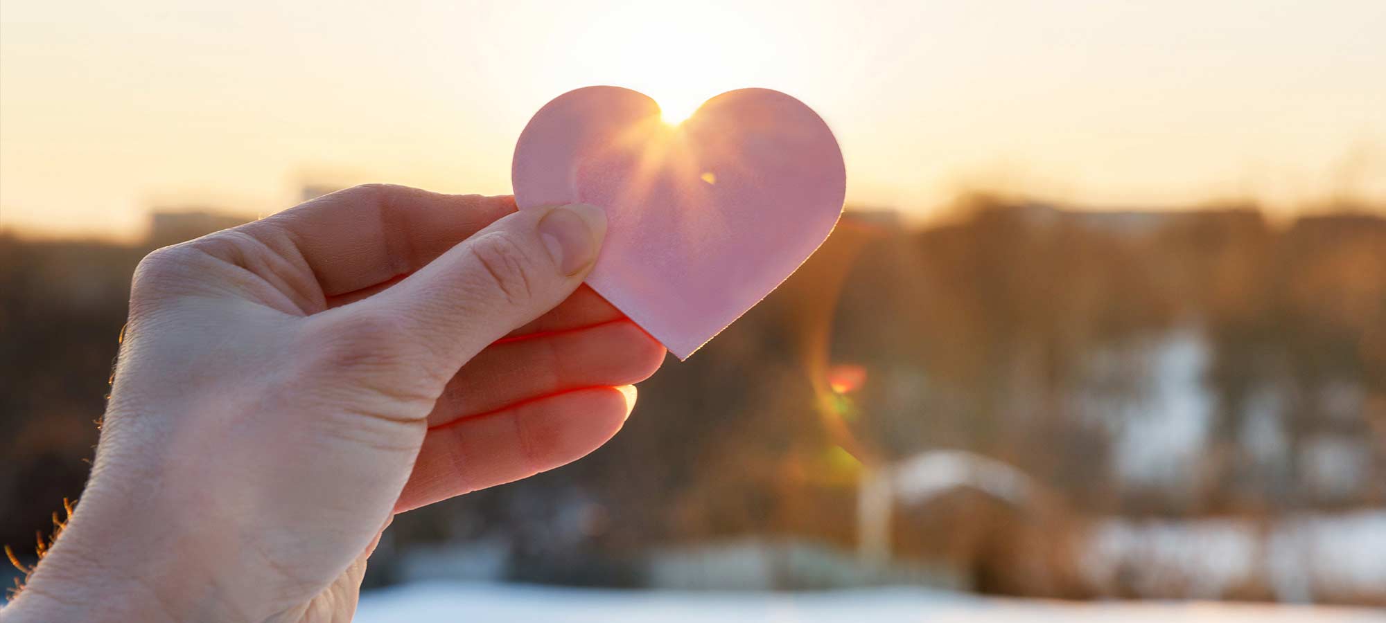 Mutual Help - The joy of love